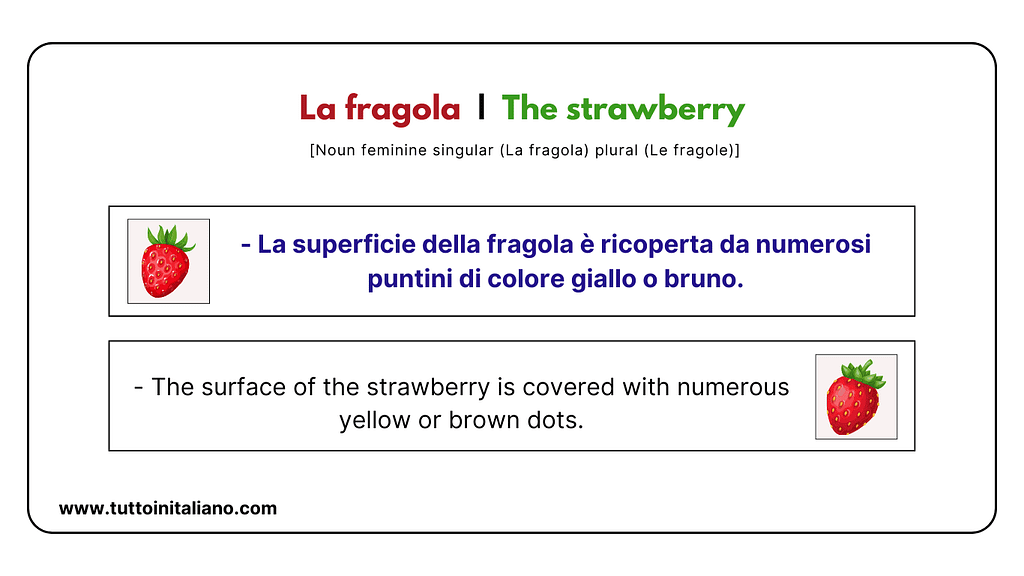 Common Italian words: Fruit names | 20+ easy fruit names with examples ...