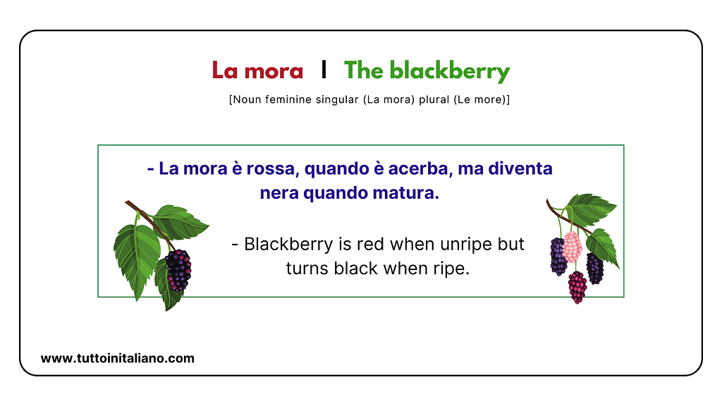 Common Italian words: Fruit names | 20+ easy fruit names with examples ...
