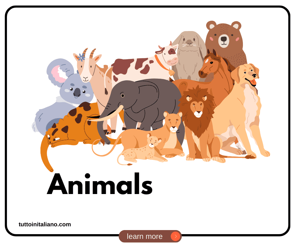 30+ Italian vocab words: Animal names with easy [Examples and Exercises ...